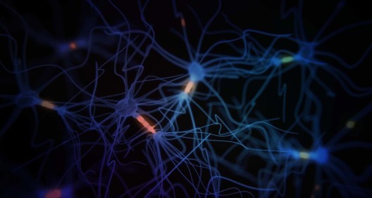 This 2,500 Year Old Technique is the Secret Behind Super Human Memory