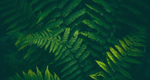 This Fractal Video Will Lower Your Stress By 60% In a Matter Of Seconds