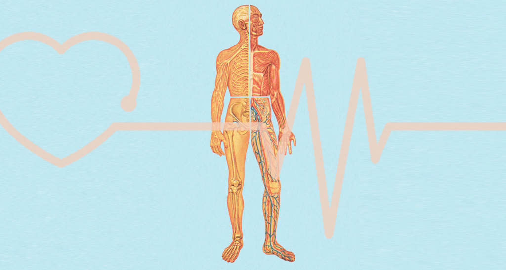 What Is GMO and Are GMO Foods Safe?