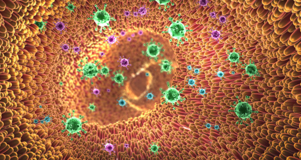 How to Digest Fats Better, With and Without a Gallbladder